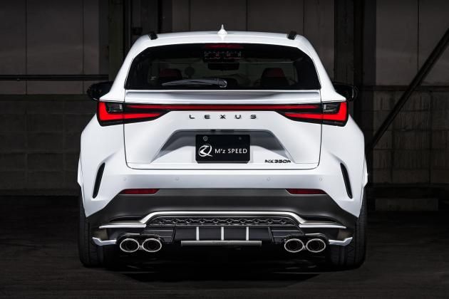 20 LEXUS NX F SPORT (後期) M'z SPEED リアアンダースポイラー (AES製) / 品揃え多数のエアロパーツ専門通販ならエアツケ！