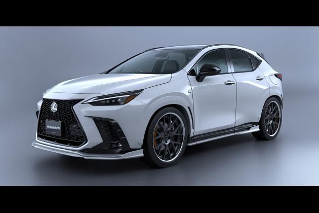 20 LEXUS NX ARTISAN SPIRITS CARBON OVER FENDER KIT 6P 8mmWIDE / 品揃え多数の ...