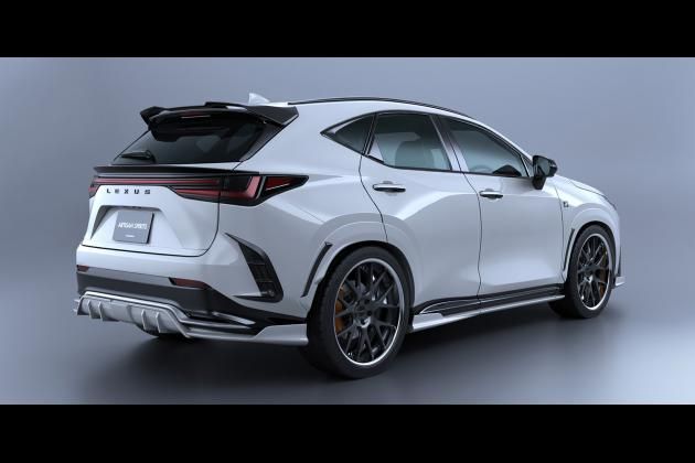 20 LEXUS NX ARTISAN SPIRITS CARBON OVER FENDER KIT 6P 8mmWIDE / 品揃え多数の ...