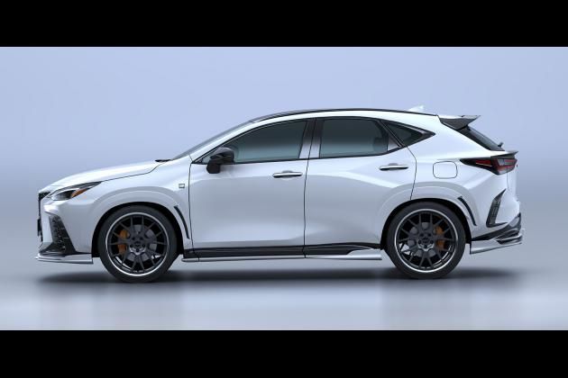 20 LEXUS NX ARTISAN SPIRITS OVER FENDER KIT 6P 8mmWIDE / 品揃え多数のエアロパーツ専門 ...